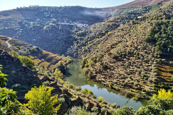 Douro Valley Prime Tour: Wine Tastings, Boat and Lunch from Porto - Who Will Love This Tour?