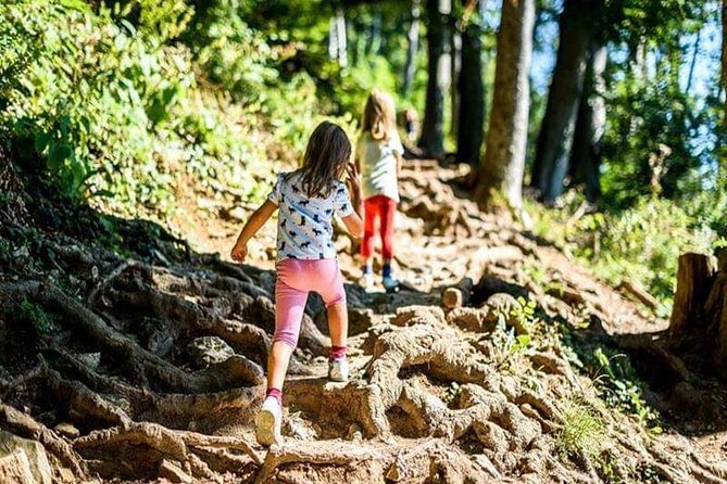 Durmitor National Park hiking tour - easy to moderate - Exploring Durmitor’s Lakes: A Detailed Look