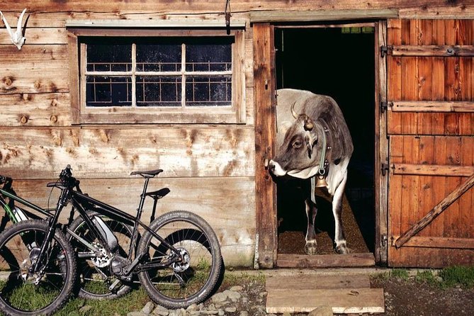 E-Bike Food and Wine Tour in the Sorrento Peninsula - The Charm of Schiazzano and the Farm Experience