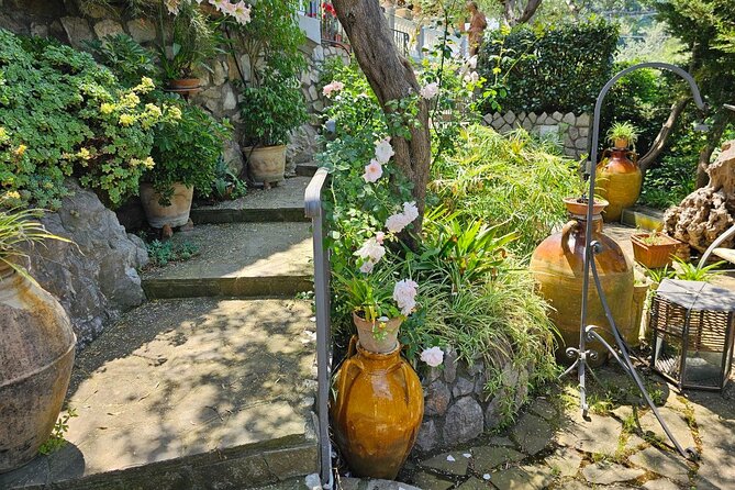 E-Bike Tour in the Sorrento Peninsula and Visit to Acetaia - What to Expect from Your Experience