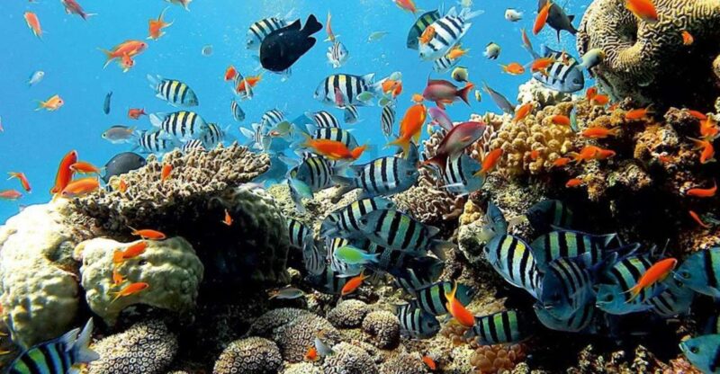 East Bali: Snorkeling, Canyoning, and Waterfall Day Trip - Detailed Breakdown of the Itinerary