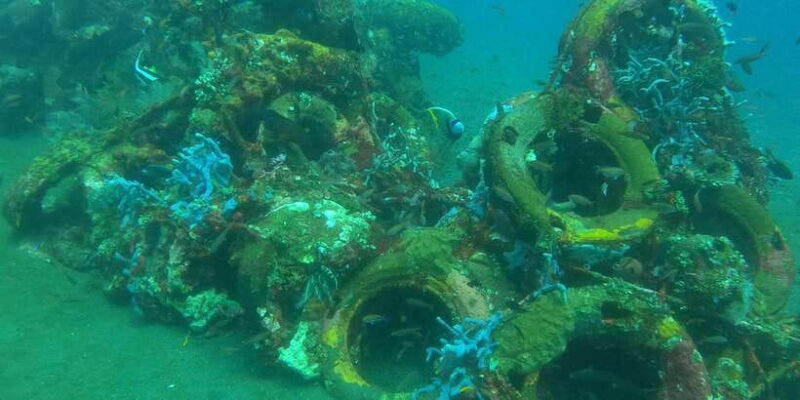 East Bali: Snorkeling Day Trip to Amed - Analyzing the Value: Is It Worth It?
