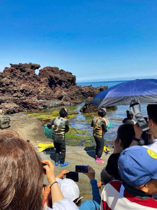 EAST JEJU: All Inclusive Private Tour w/ Taekwondo Show - How This Tour Adds Up