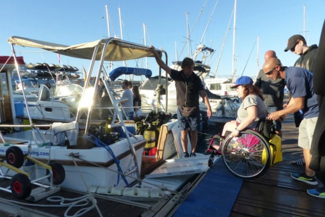 Eco Adapted Diving in Tenerife - The Experiences Value and Unique Highlights