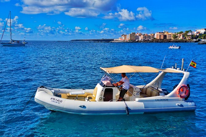 Eco Tour in the South of Tenerife with Snorkeling and Bathing Included - Key Points