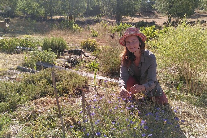 Educational visit of a Certified Organic Micro Farm in Trancoso - Authenticity and Customer Feedback