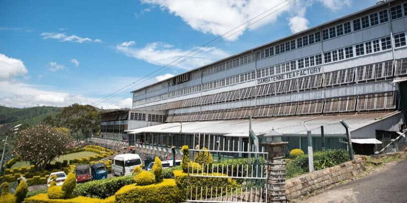 Ella: Lipton's Seat Tour with Dambetanna Tea Factory Visit - What Our Reviewers Say