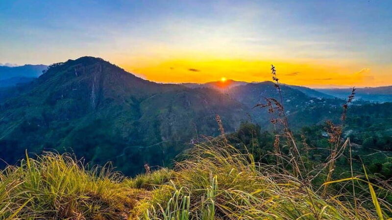Ella: Sunset Tuk Tuk Tour with Little Adam's Peak Hike - Price and Value for Money