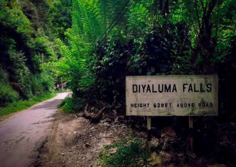 Ella: Tuk Tuk Tour to Diyaluma and Secret Waterfalls - Who Should Consider This Tour?