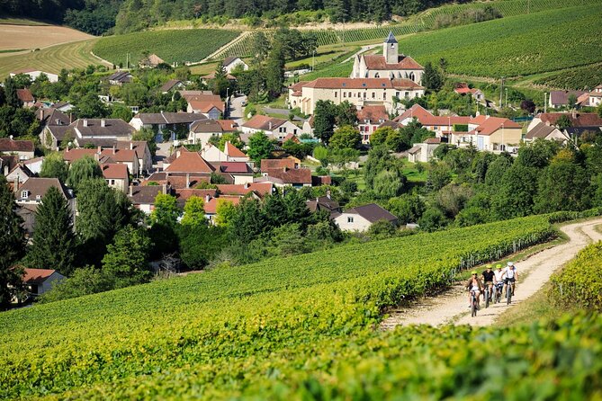 Epernay and Reims Champagne Private Day Trip from Paris - What Makes This Tour Stand Out?