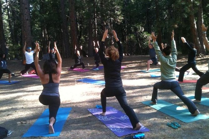 Etna Volcanic Yoga and Meditation Weekend (Private Experience) - Who Should Consider This Tour?