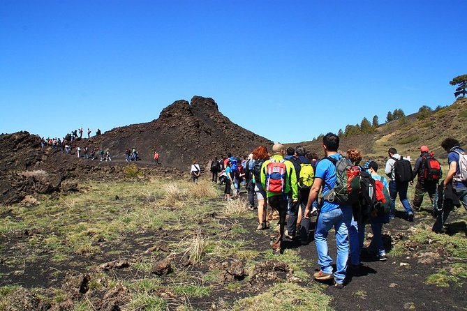 ETNA & WINE, TAORMINA TOUR FD from CATANIA (GUIDE and LUNCH Included) - The Volcanic Landscape and Its Unique Features