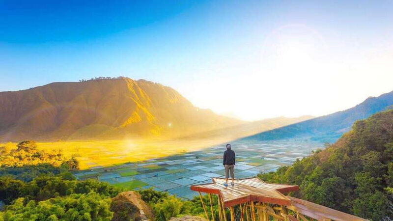 Exclusive Sembalun One-Day Tour: Nature and Scenic Wonders - Detailed Breakdown of the Itinerary