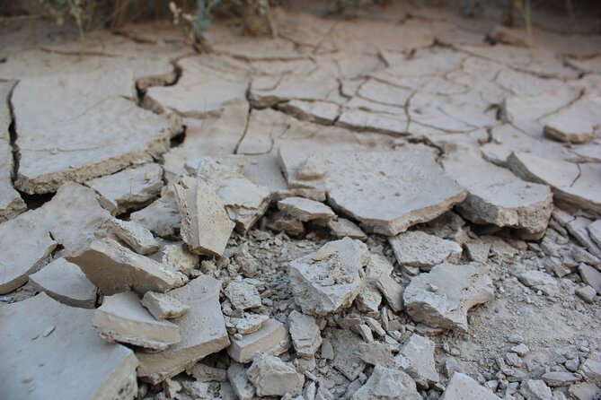 Excursion by car with official guide in Bardenas Reales - The Sum Up: Who Will Love This Tour?