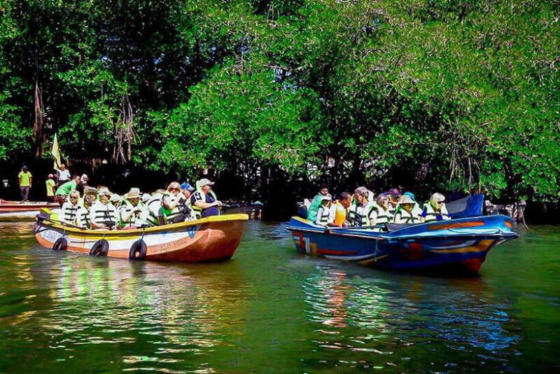Explore Bentota River:Safari Tour with Hotel Pickup&Drop-off - Analyzing the Experience