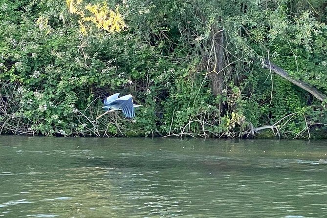 Explore Bird & Marine Wildlife private Boat Tour in English - The Sum Up: Is It Worth It?