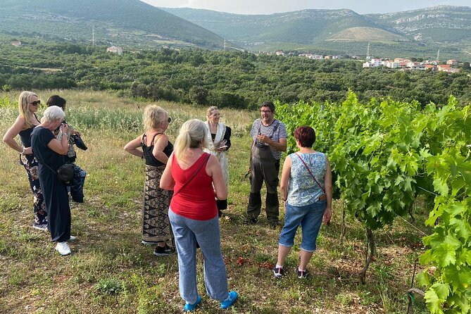 Family-run Vineyard Tour & Award Winning Wine Tasting/Delicacies - The Experience’s Advantages