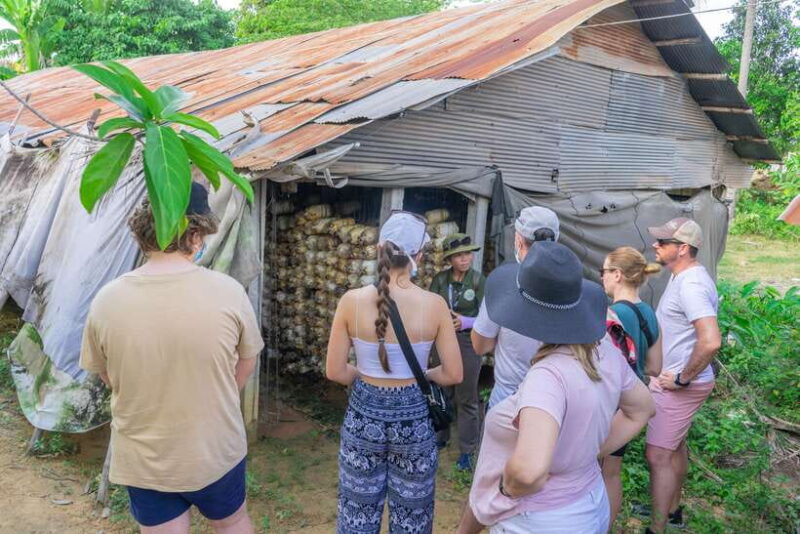 Floating Village Sunset Boat & Jeep Tour inclusive Drinks - Authentic Experiences That Leave a Mark