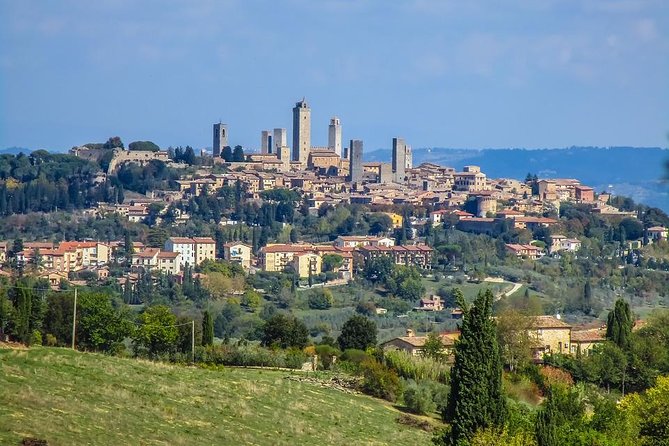 Florence and San Gimignano Private Tour from Livorno - Who Will Love This Tour?