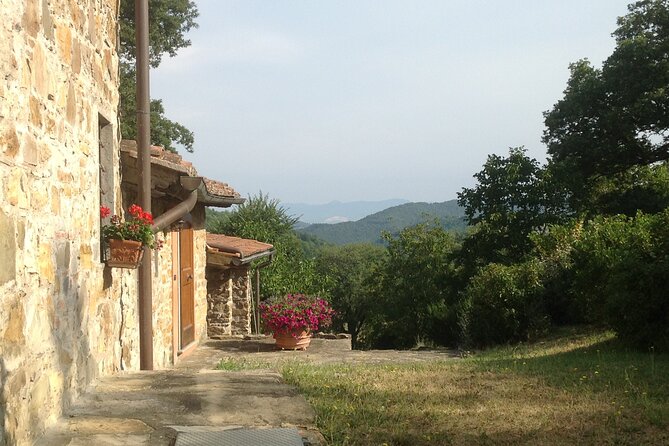 Florence Cooking Class in a Gorgeous Countryside Home with Maria - Who Will Love This Tour?
