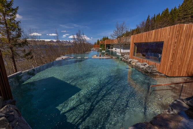 Forest Lagoon and Northern Lights Guided Night Tour - The Sum Up