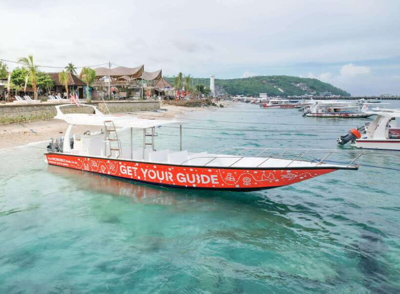 From Bali: Snorkeling at Manta Point Nusa Penida & Land Tour - An Honest Look at the Experience