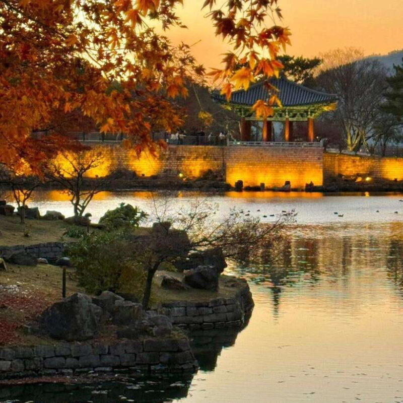 From Busan: Full-Day Private Yangdong village Gyeongju Tour - What to Expect from Your Full Day in Gyeongju