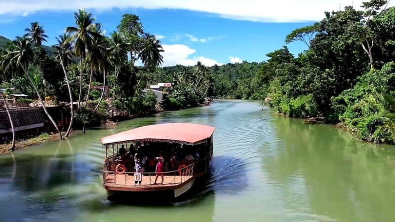 From Cebu: Bohol Countryside & Buffet Lunch Exclusive Tour - A Practical Breakdown of the Tour Experience