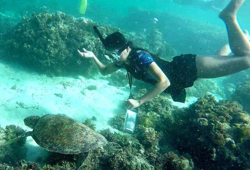 From Cebu City: Moalboal Pescador Snorkeling Tour + Lunch - The Practicalities of the Itinerary