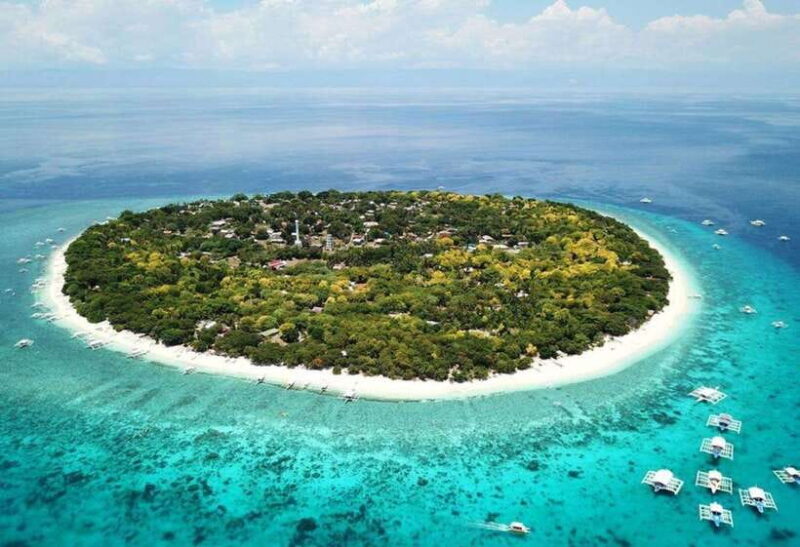 From Cebu:Pamilacan, Virgin Island, Dolphin Watching & Lunch - The Experience We Loved and Considerations
