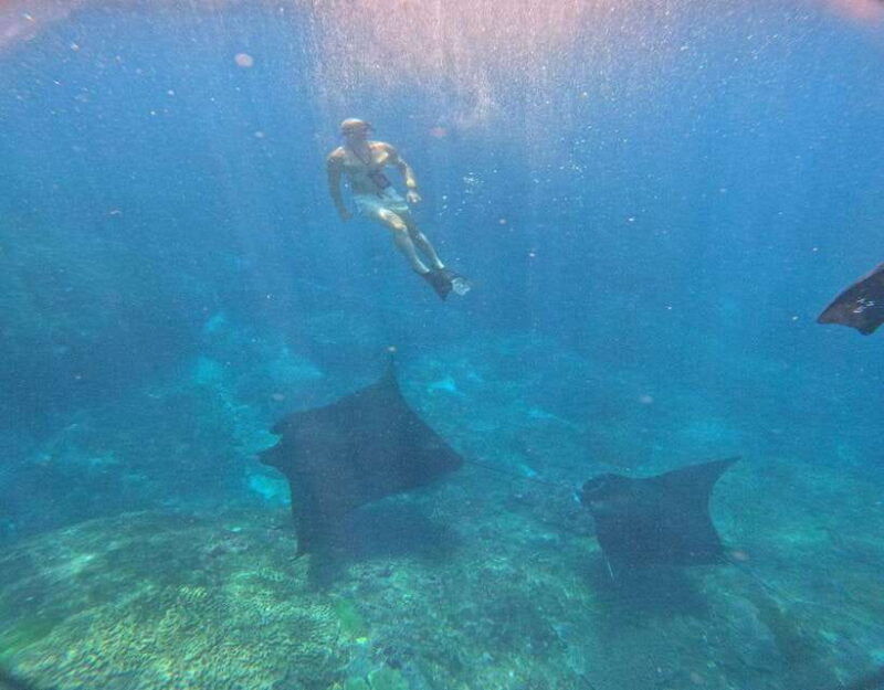 From Ceningan: Snorkeling with Manta Rays at Manta Point - The Itinerary Breakdown