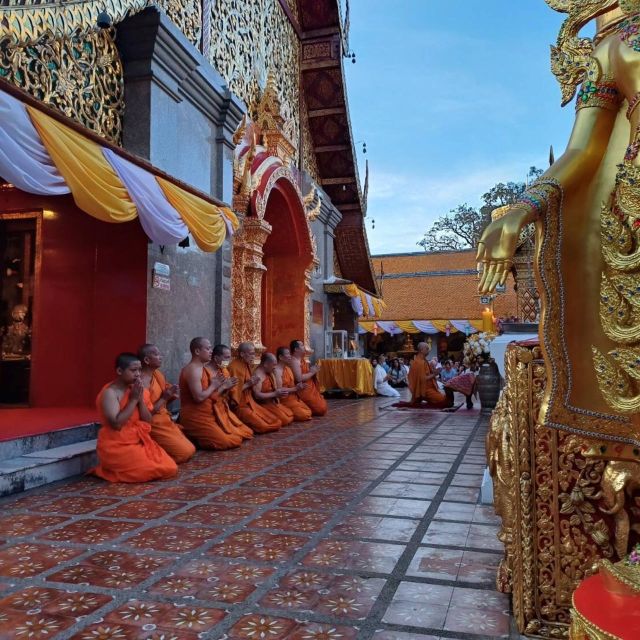 From Chiang Mai: Temples, Sticky Waterfall, and Orchid Farm - What the Reviews Say