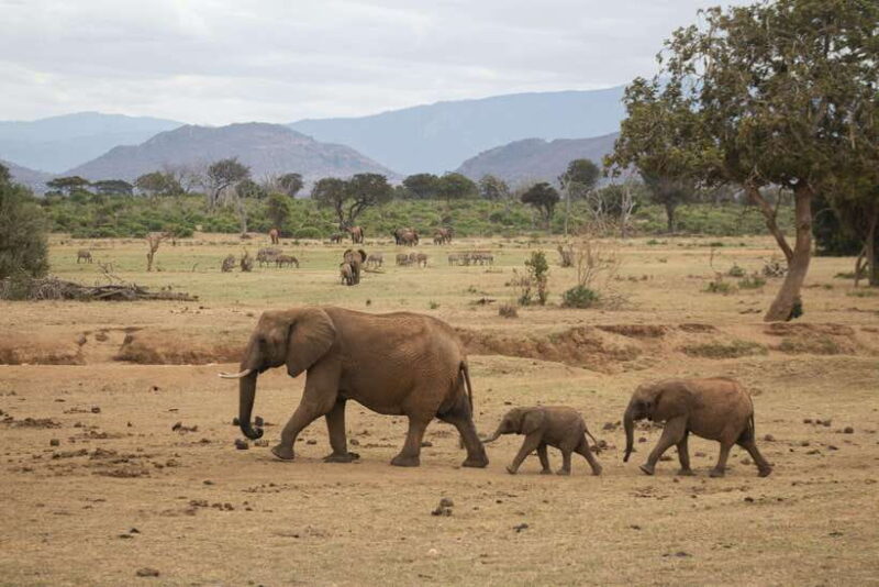 From Colombo: 3-Day Kandy, Sigiriya, Ella, Nuwara Eliya Tour - The Value of This Tour