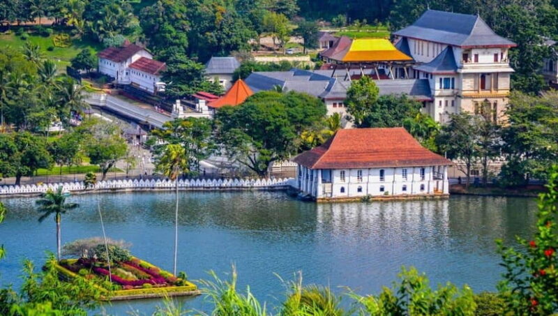 From Colombo: Discover Elephant Orphanage and Kandy Day Tour - What We Love About This Tour