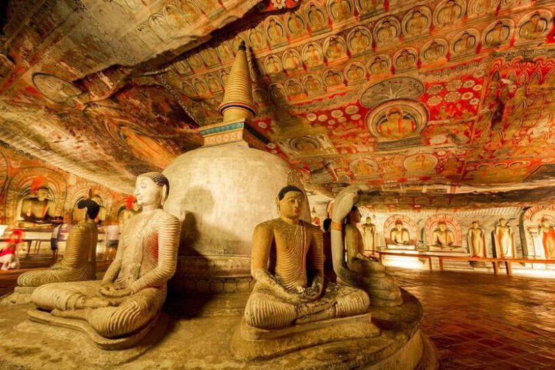 From Colombo: Sigiriya / Dambulla & Safari Day Tour - Transport, Timing, and Value