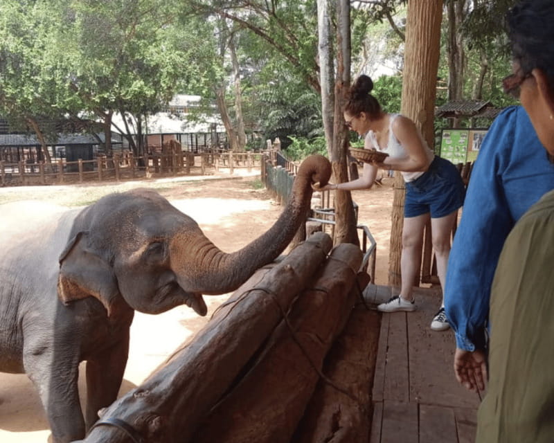 From: Ella - Udawalawe Safari - Hiriketiya - Cost and Value: Is It Worth It?