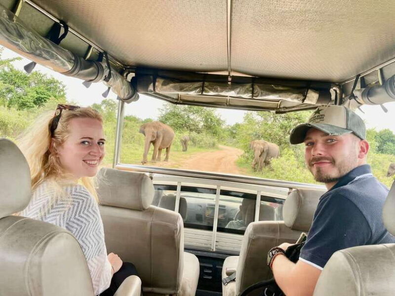 From Ella - Yala National Park Leopard Safari Tour - The Realities: What Past Travelers Say