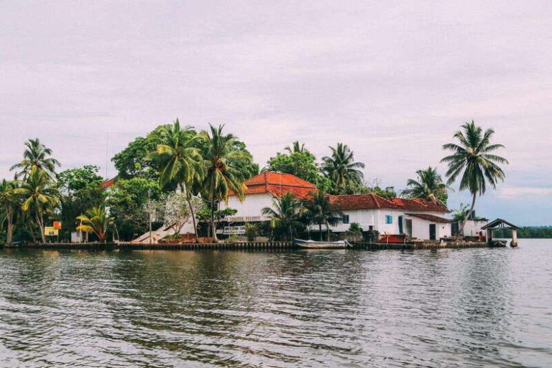 From Galle: Exclusive Madu River Safari & Turtle Hatchery - Analyzing the Value
