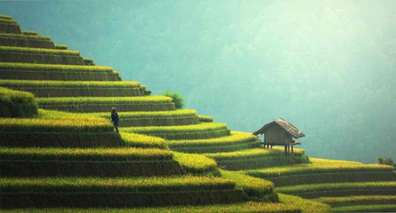 From Hanoi: 2D1N Sapa Trekking by VIP Sleeper Bus - In-Depth Look at the Itinerary