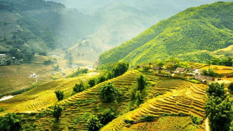 From Hanoi 5-day trip: Sapa-Ninh Binh-Halong bay cruises - Night Train to Hanoi and Ninh Binh’s Hidden Gems