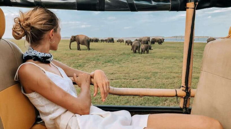 From Hikkaduwa/Galle/Weligama/Mirissa: Udawalawa Safari Tour - The Itinerary: What You Can Expect