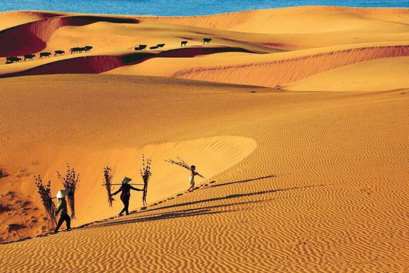 From Ho Chi Minh: Mui Ne White Sand Dunes Day Trip - Practical Details and What to Expect