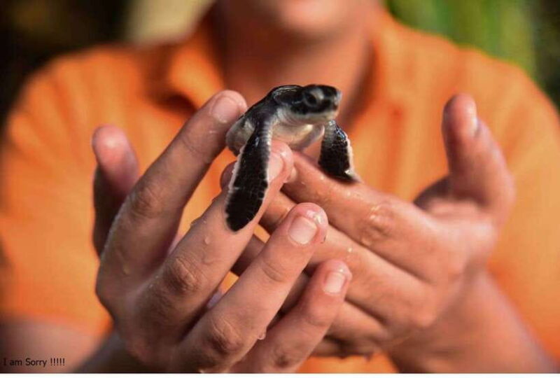 From Kalutara:Exclusive Galle Dutch Fort & Madu River Safari - The Madu Ganga River Safari: A Wetland Wonderland