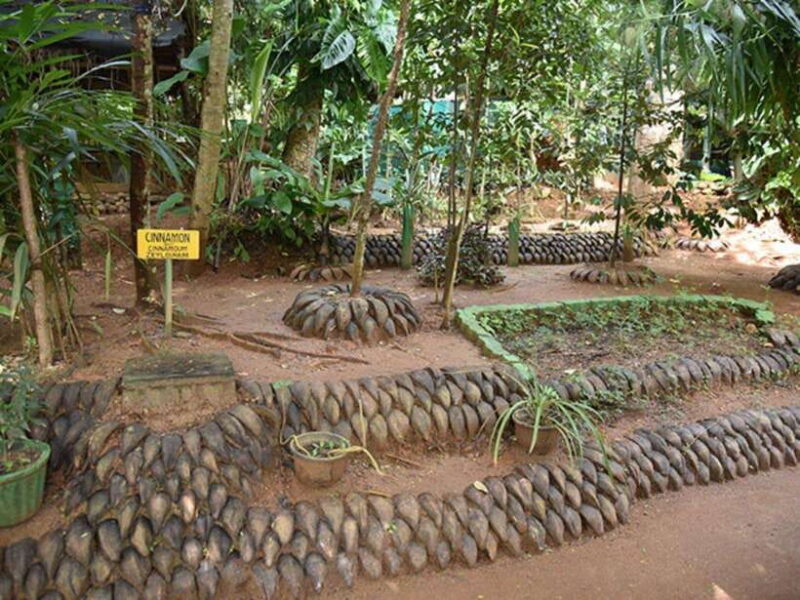 From Kandy: Sigiriya Guided Tuk-Tuk Tour - The Main Event: Sigiriya Rock Fortress
