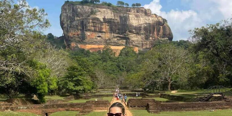 From Kandy: Sigiriya Transfer with Safari and Dambulla Rock - The Safari Experience: Wild Encounters in a Sri Lankan National Park