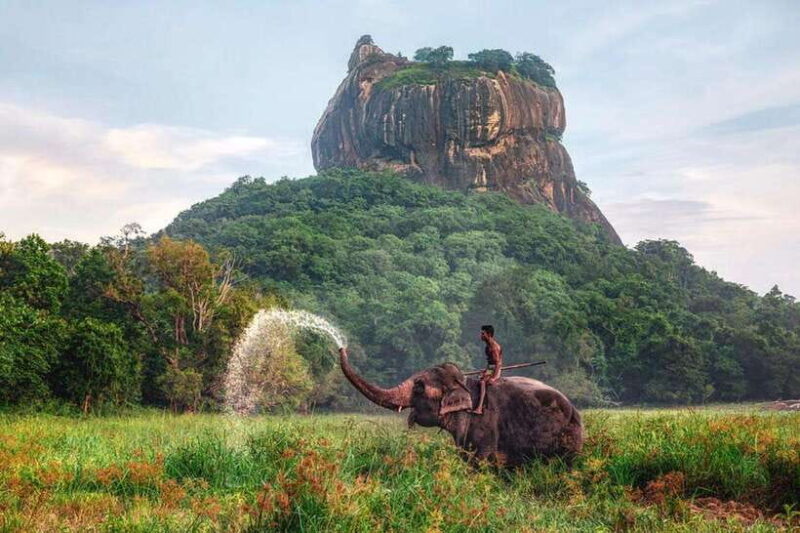 From : Kandy to Sigiriya Private Guide Tour by Tuk Tuk - What’s Included and What You Should Budget For