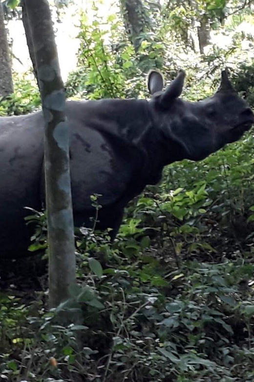 From Kathmaandu: 3 Day 2 Night Chitwan National Park Tour - The Sum Up