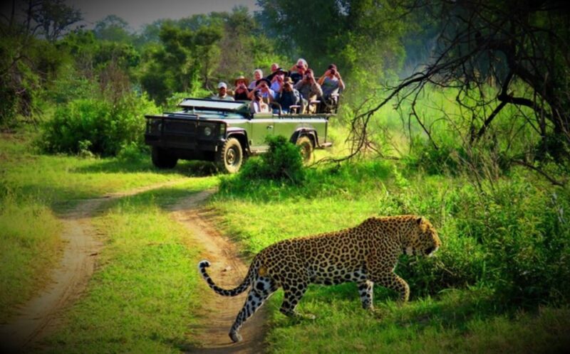 From Kathmandu/Pokhara: Private 3-Day Chitwan Safari Tour - How the Experience Feels for Travelers