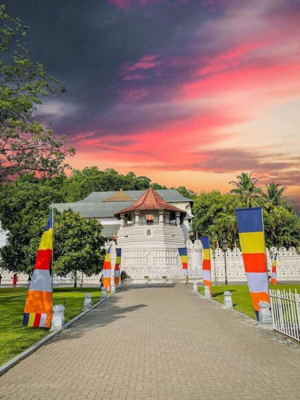 From Katunayake: Sigiriya, Dambulla, Polonnaruwa, and Kandy - Whats Included and Whats Not