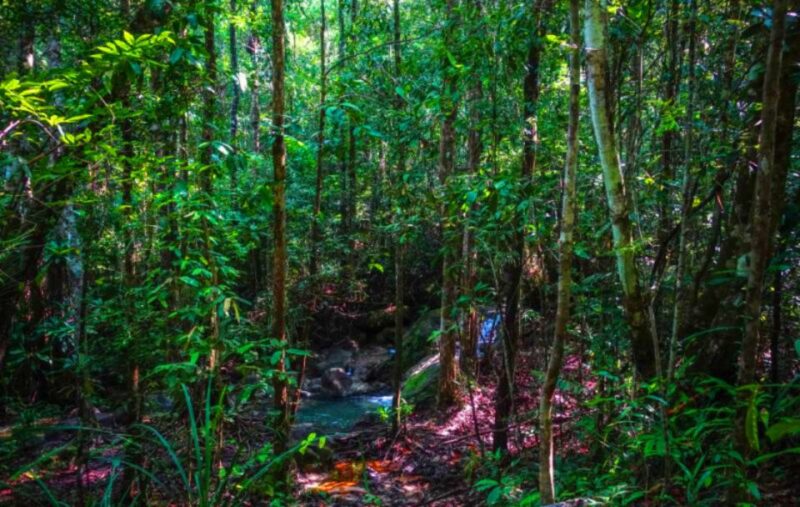 From Krabi: Khao Ngon Nak Trekking Experience - Whats Included and Whats Not